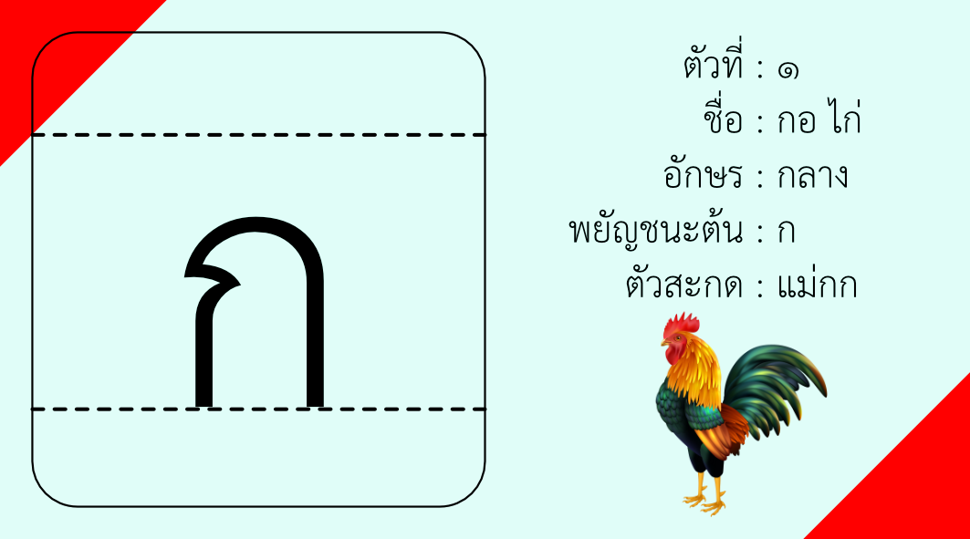 Thai flashcards – Learn Thai Today