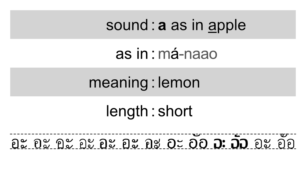 Thai flashcards – Learn Thai Today