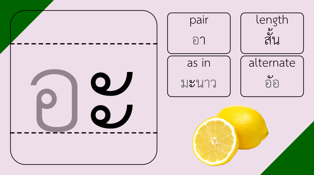 Thai flashcards – Learn Thai Today
